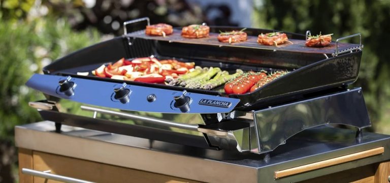 Idées De Préparations À La Plancha : Poissons, Viandes, Légumes